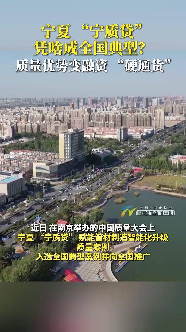 ...凭啥成全国典型?质量优势变融资"硬通货"(记者王虹刘鑫)#宁夏#金融...
