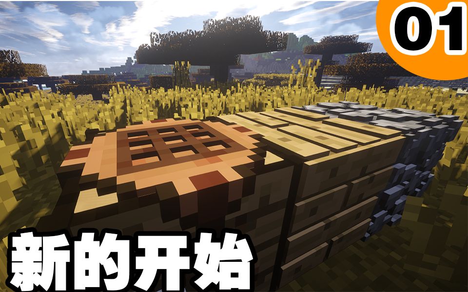 超真实MC生存探险:新的世界,新的开始#1