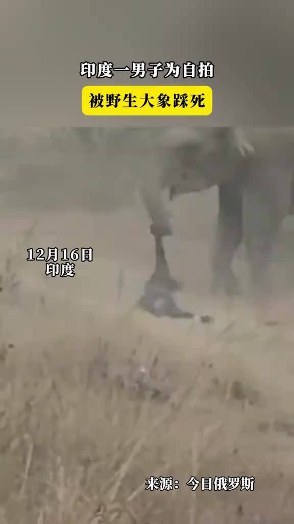 印度一男子为自拍被野生大象踩死