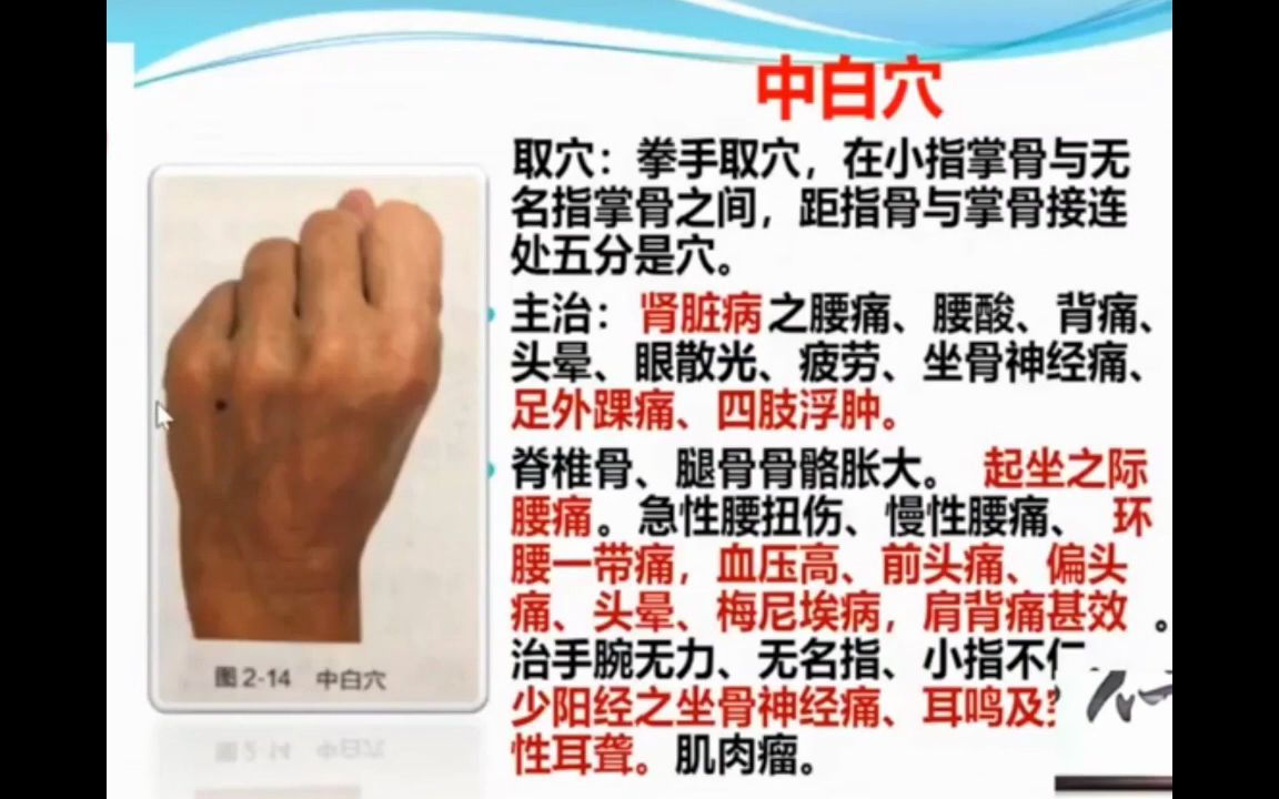 中白穴 男性补肾大穴 _ 董氏奇穴, 林君