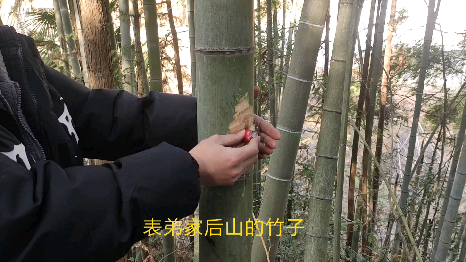 砰!过年回家用大炮仗炸竹子,看看威力怎么样!