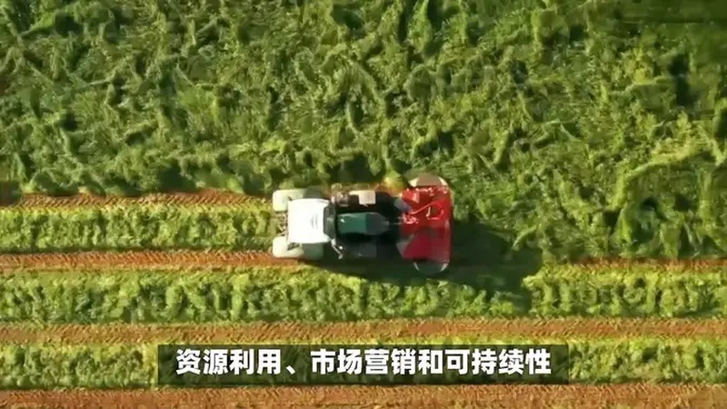 休闲农业与传统农业的高效性相比有哪些不同?