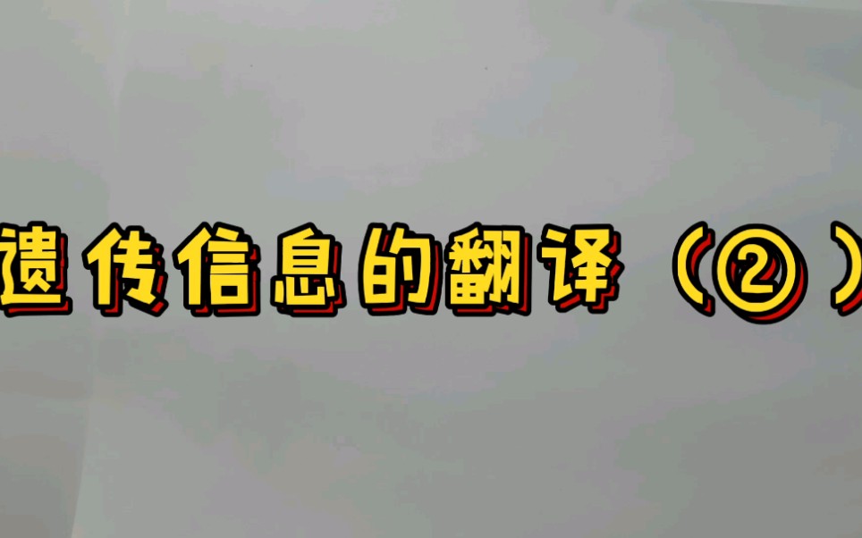 遗传信息的翻译2