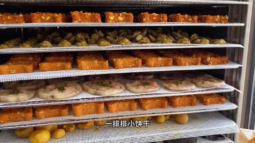 主人看了直流口水,自制狗狗小零食,狗子们抵挡不住的诱惑