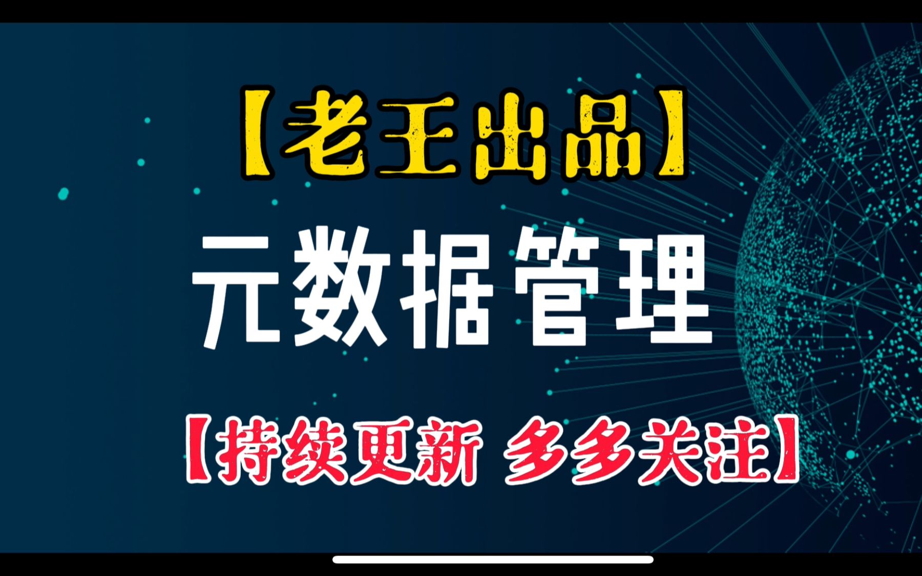 【老王漫谈数仓】系列十.元数据管理篇