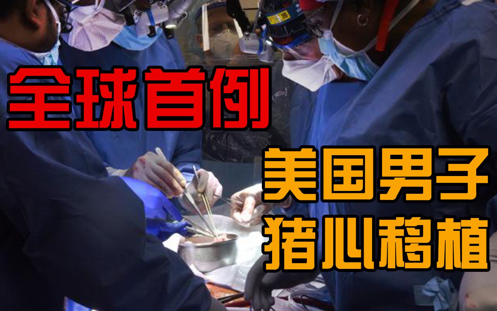 【全球首例】美国一男子完成猪心脏移植手术