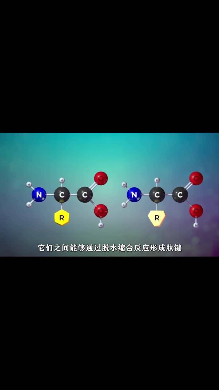 蛋白质的四级结构 #生物 #氨基酸 #二硫键 #知识分享