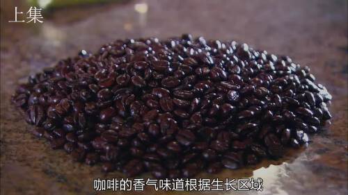 《造物百科》咖啡的制作过程