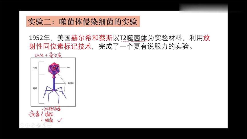 【DNA是主要的遗传物质】噬菌体侵染细菌的实验 【转载】