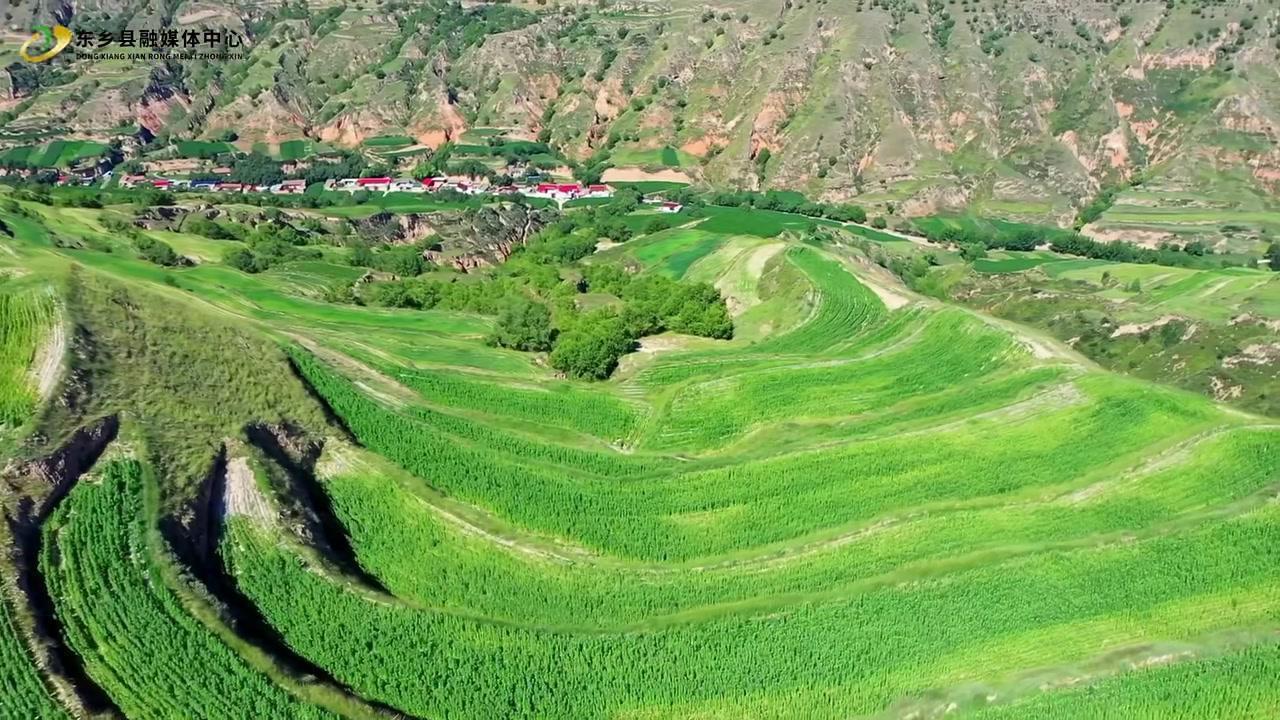 ...为那勒寺镇的经济发展和生态文明建设做出积极贡献。(摄制:马金宝)