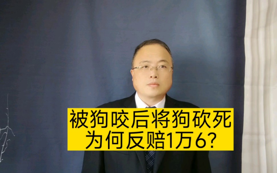 被狗咬后将狗砍死,为何反赔1.6万?