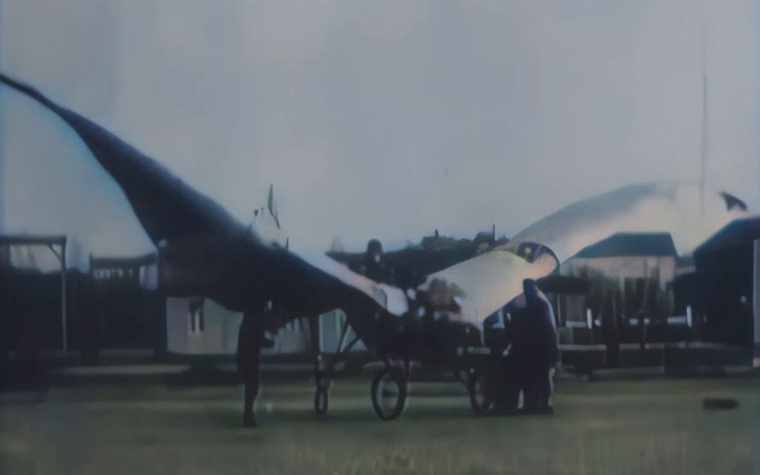 1929年 德国鸟类爱好者发明的扑翼式飞行器