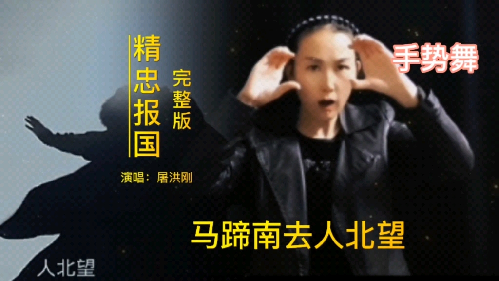 《精忠报国》#完整版手势舞