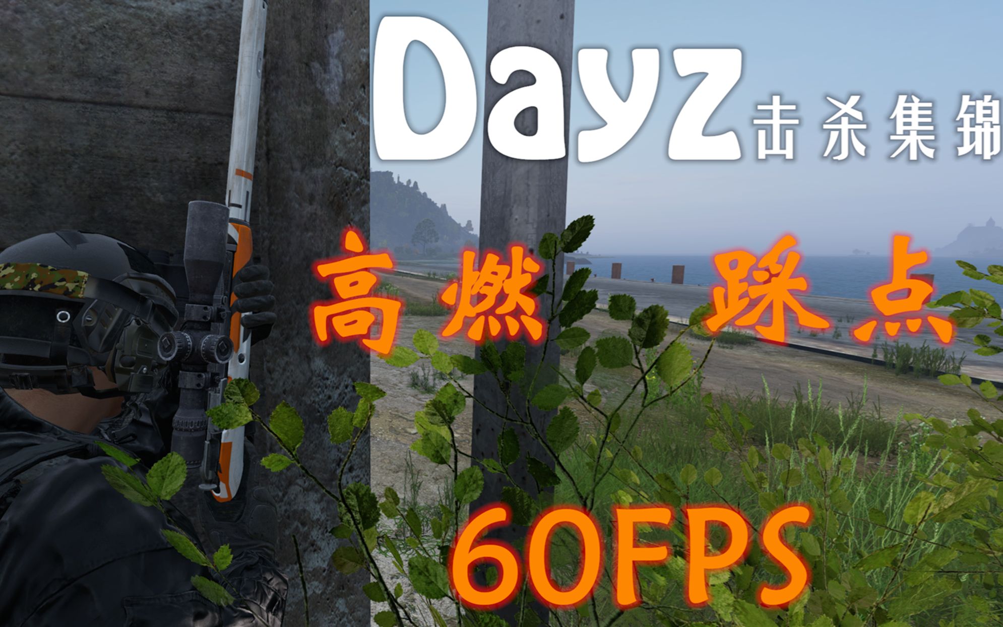 【Dayz】[60fps]高燃踩点击杀集锦