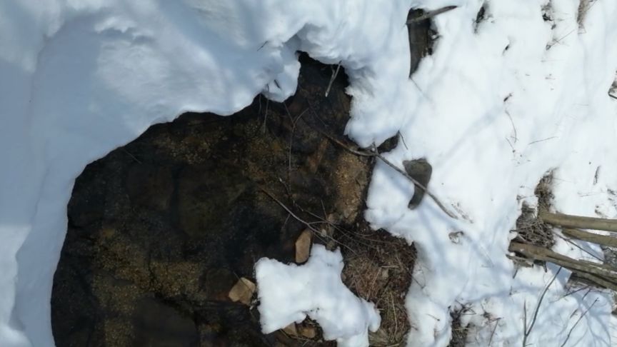 黑龙江哈尔滨尚志区域林业局偷猎林蛙案件频发!