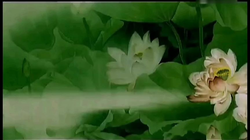 诵读《荷塘月色》节选#再忆经典