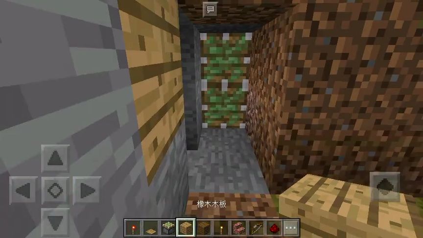 我的世界隐藏神秘的地下室