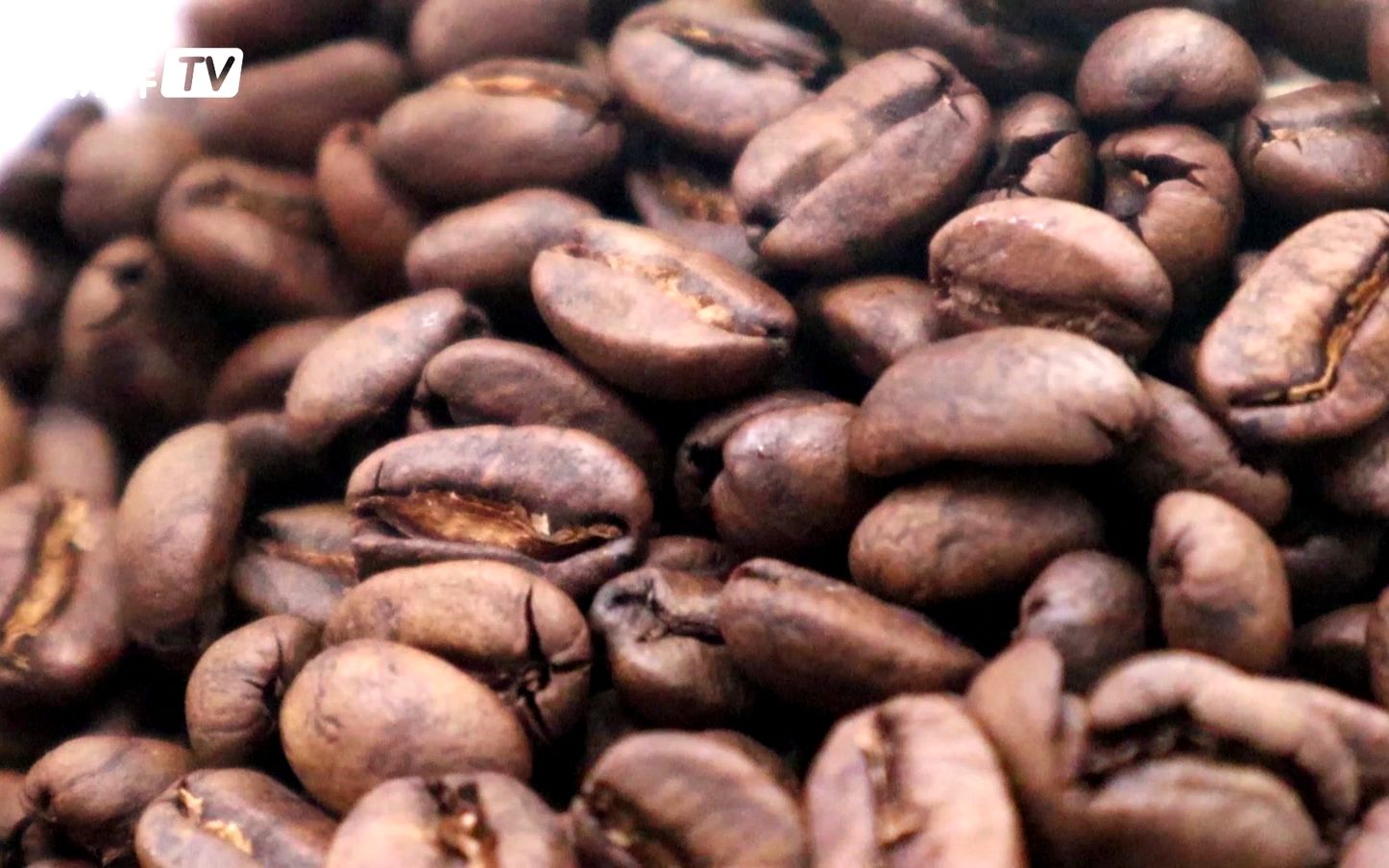 逛咖啡展览会是种什么样的体验?