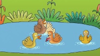 英文儿歌-Are these ducks?