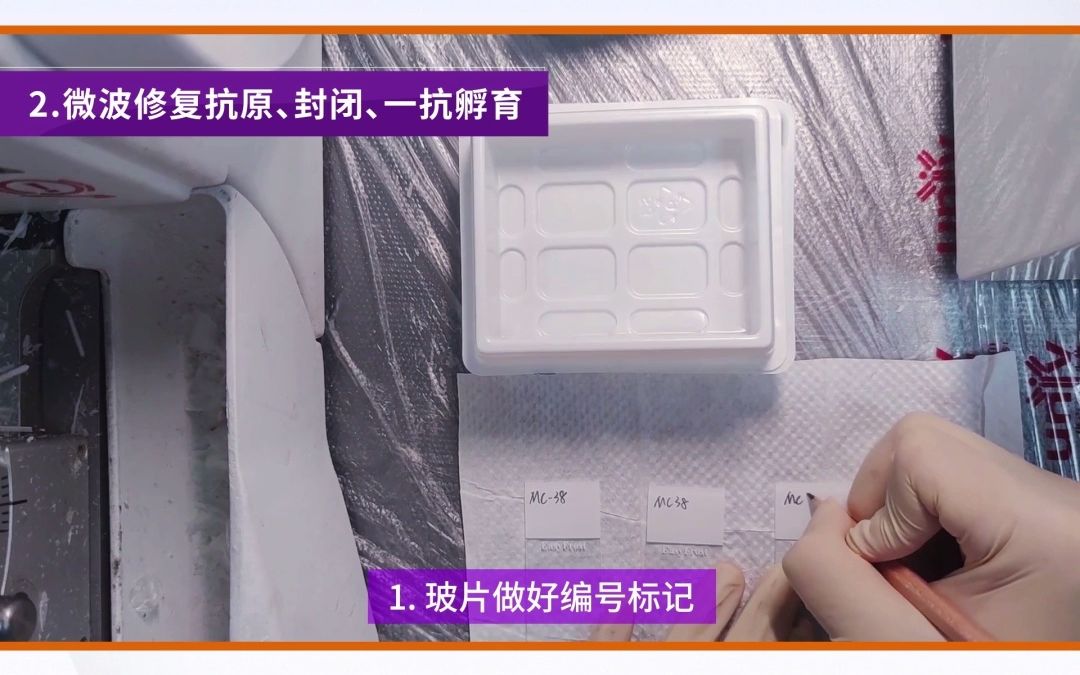 多重荧光免疫组化实验操作演示