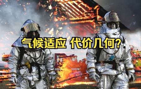 气候适应代价几何?