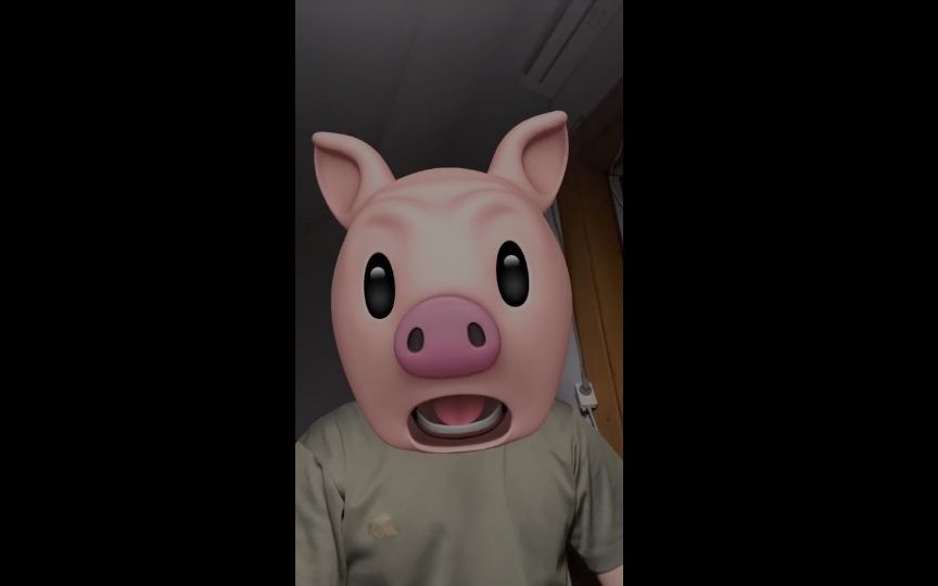 【挑战】休学一年转专业 大四一年要修二十多门必修课