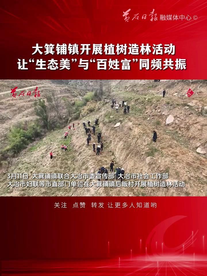 ...等市直部门单位在大箕铺镇后畈村开展植树造林活动。(记者张晓适)