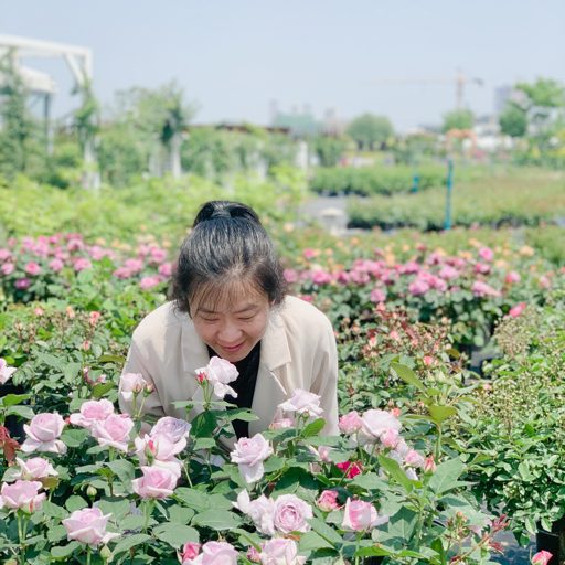 时光的花草小事 