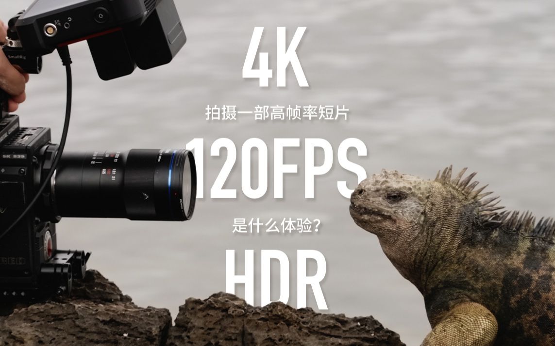 【4K 120FPS HDR】拍摄一部高帧率短片是什么体验?