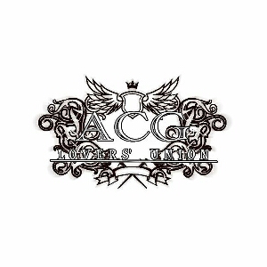 广东肇庆中学漫联社 