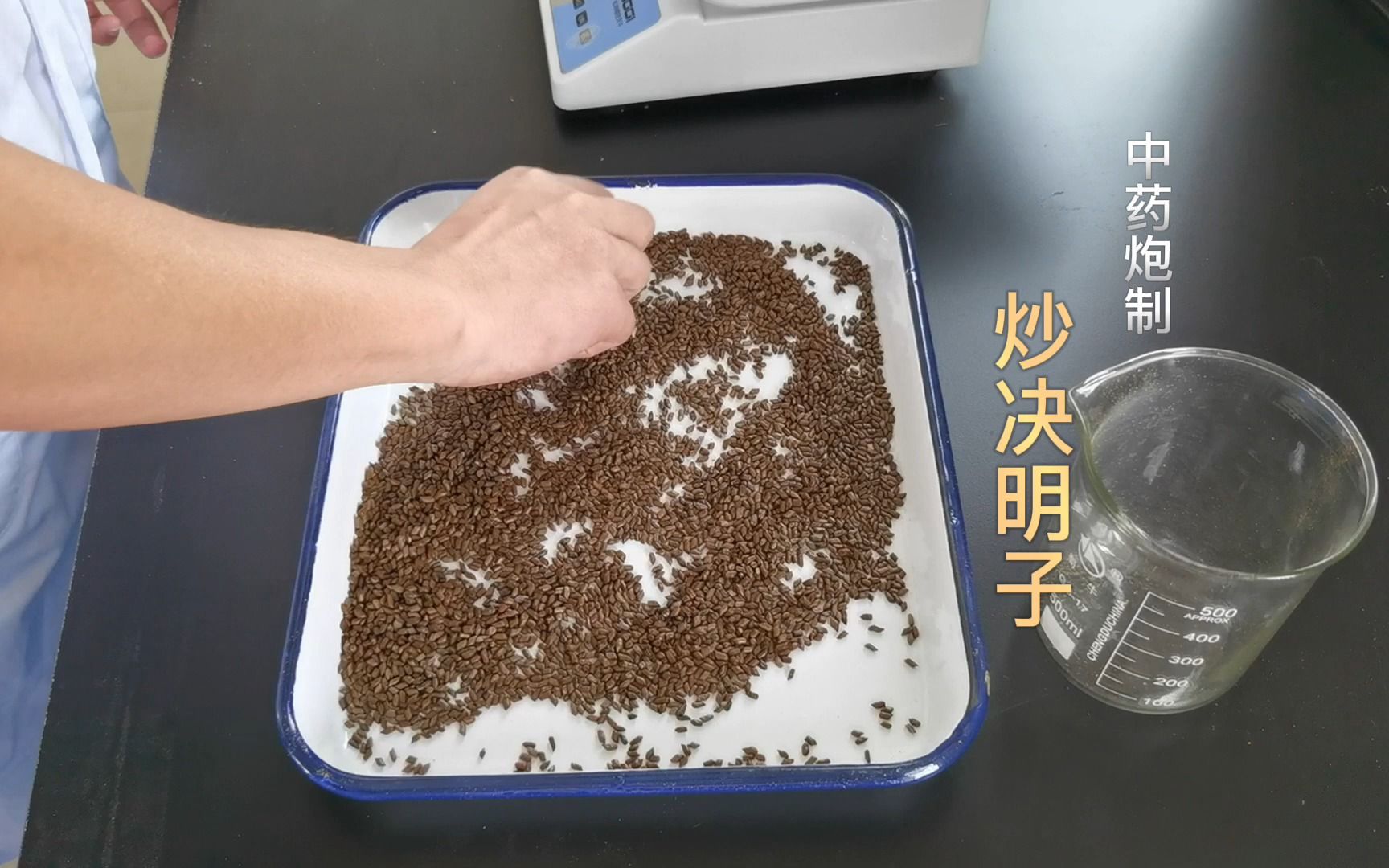 中药炮制——炒决明子