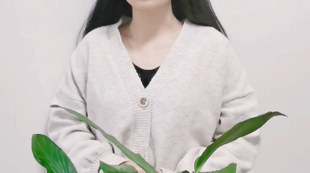 力学计量员证书有用吗?「快程教育」