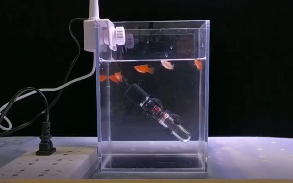 怎么正确使用加热棒