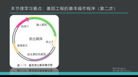 4.表达载体构建和导入