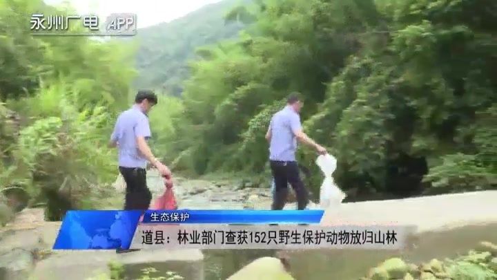 (生态保护)道县:林业部门查获152只野生保护动物放归山林
