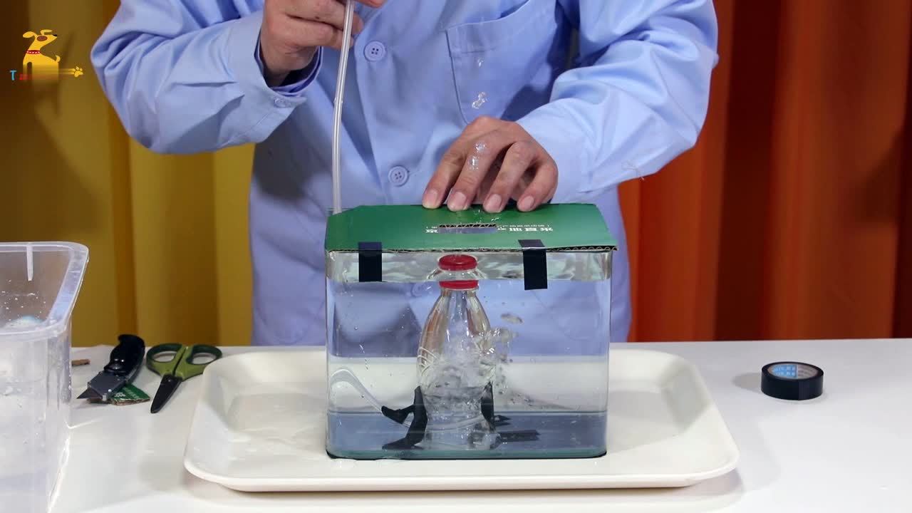 初中物理小实验:演示.