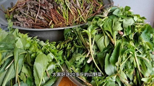 80岁残疾老爸,6个小时从大山里背回20几斤山菜,全家人吃的真香
