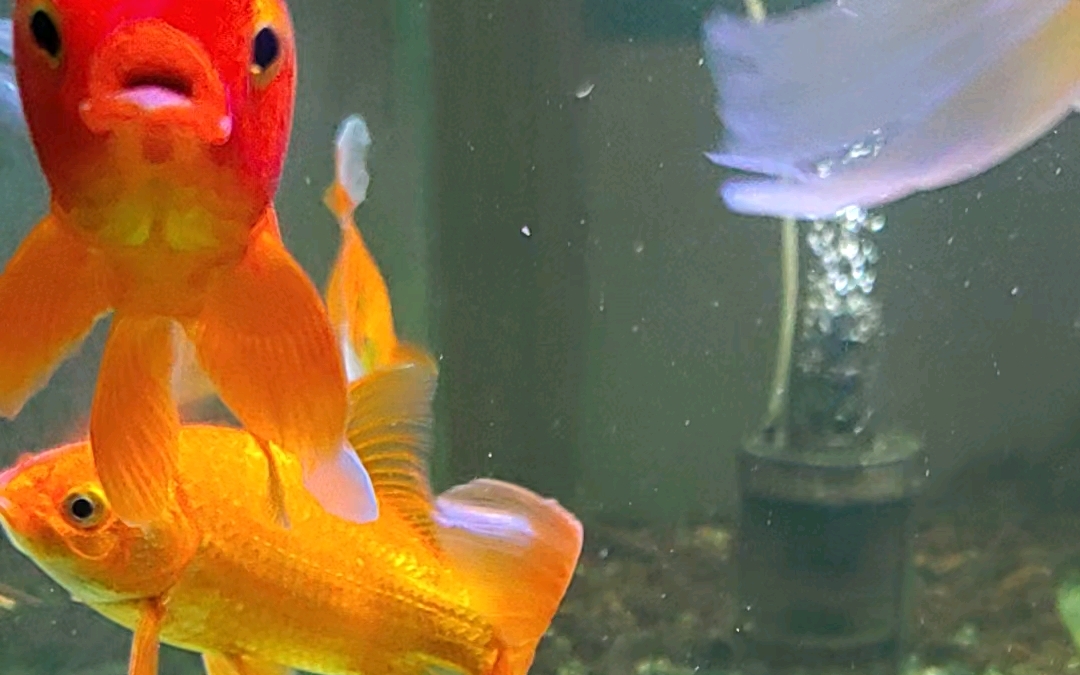 世界上,没有人是生来强大的,在成长的过程中,我们每个人都曾脆弱过。...