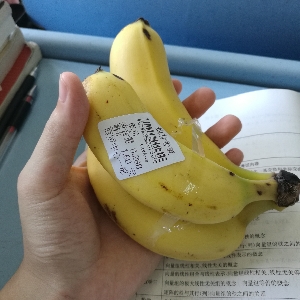 青草地上一块玉 