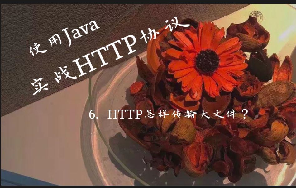 实战HTTP协议-HTTP怎样传输大文件?