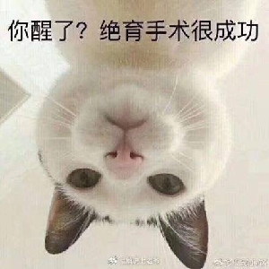 橙子自然卷 