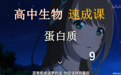 高中生物速成课9——蛋白质(蛋白质是如何形成的?)