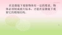 大白菜叶柄外表皮玻片标本的制作