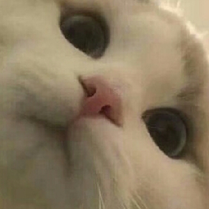 博大厨 