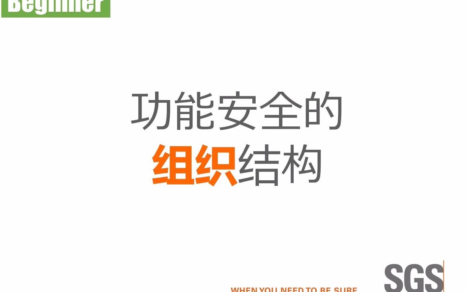 Beginner功能安全的组织结构_1080p