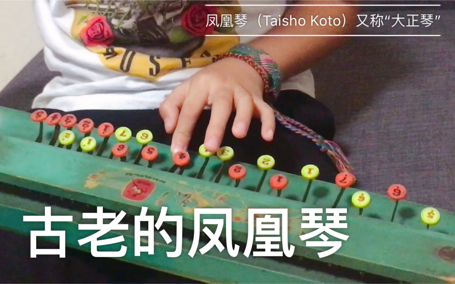 古老的乐器:凤凰琴(Taisho Koto)