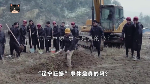 辽宁巨蟒"事件是真的?蛇真的会复仇吗?遇到蛇怎么办