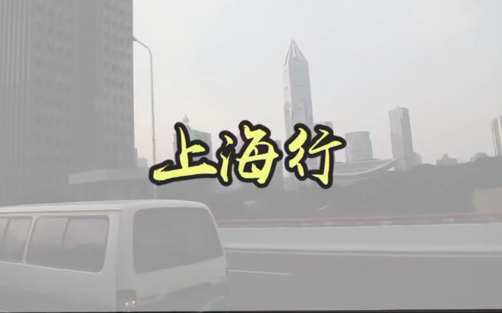 tf家族上海行reaction