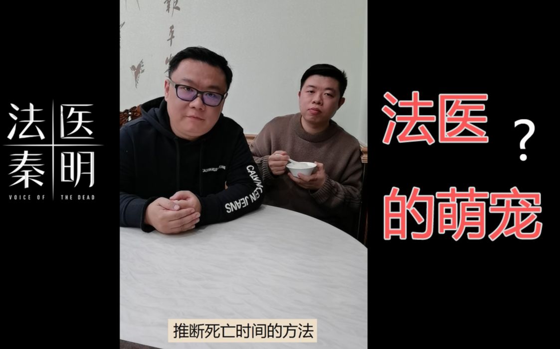 法医秦明:如何利用昆虫来推断死亡时间?