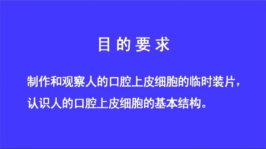 观察人的口腔上皮细胞